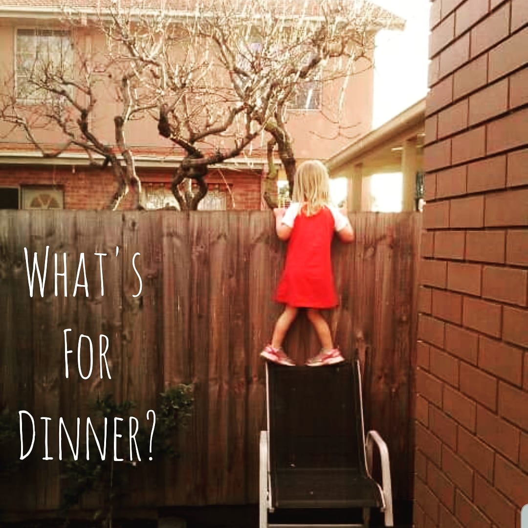 gina's kitchen | …one delicious moment at a time